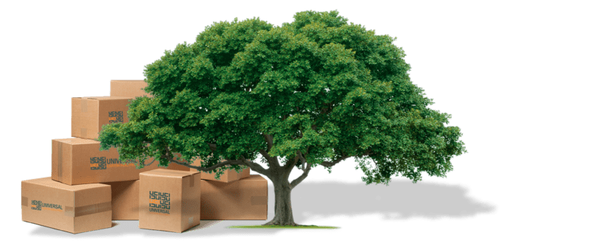 Universal Carton Industries LLC – Stands at the forefront of the ...